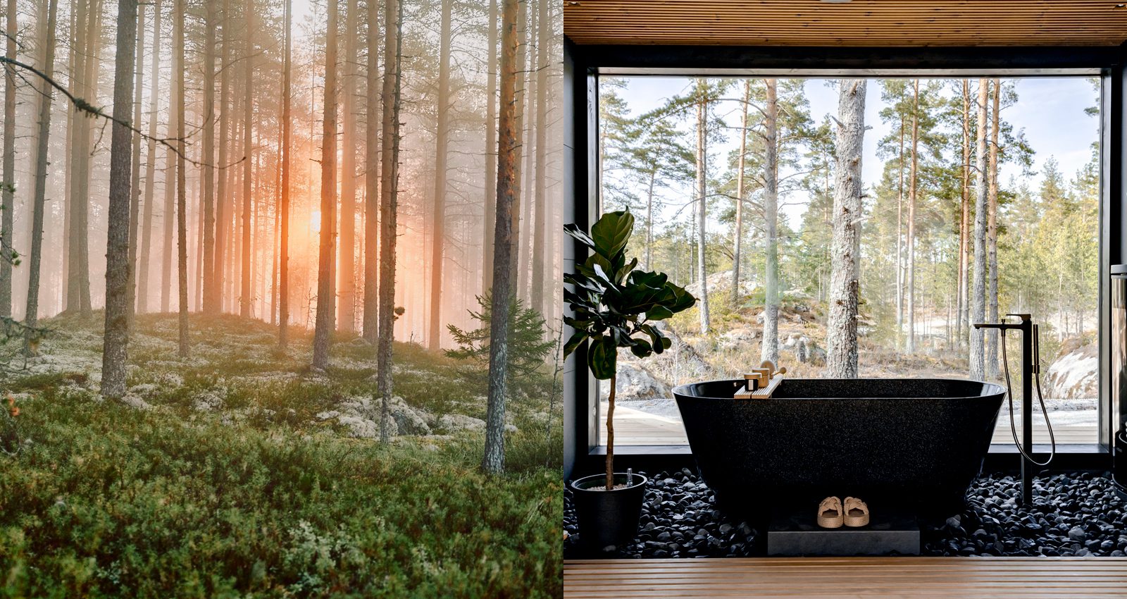 Arvontasäännöt - Honka