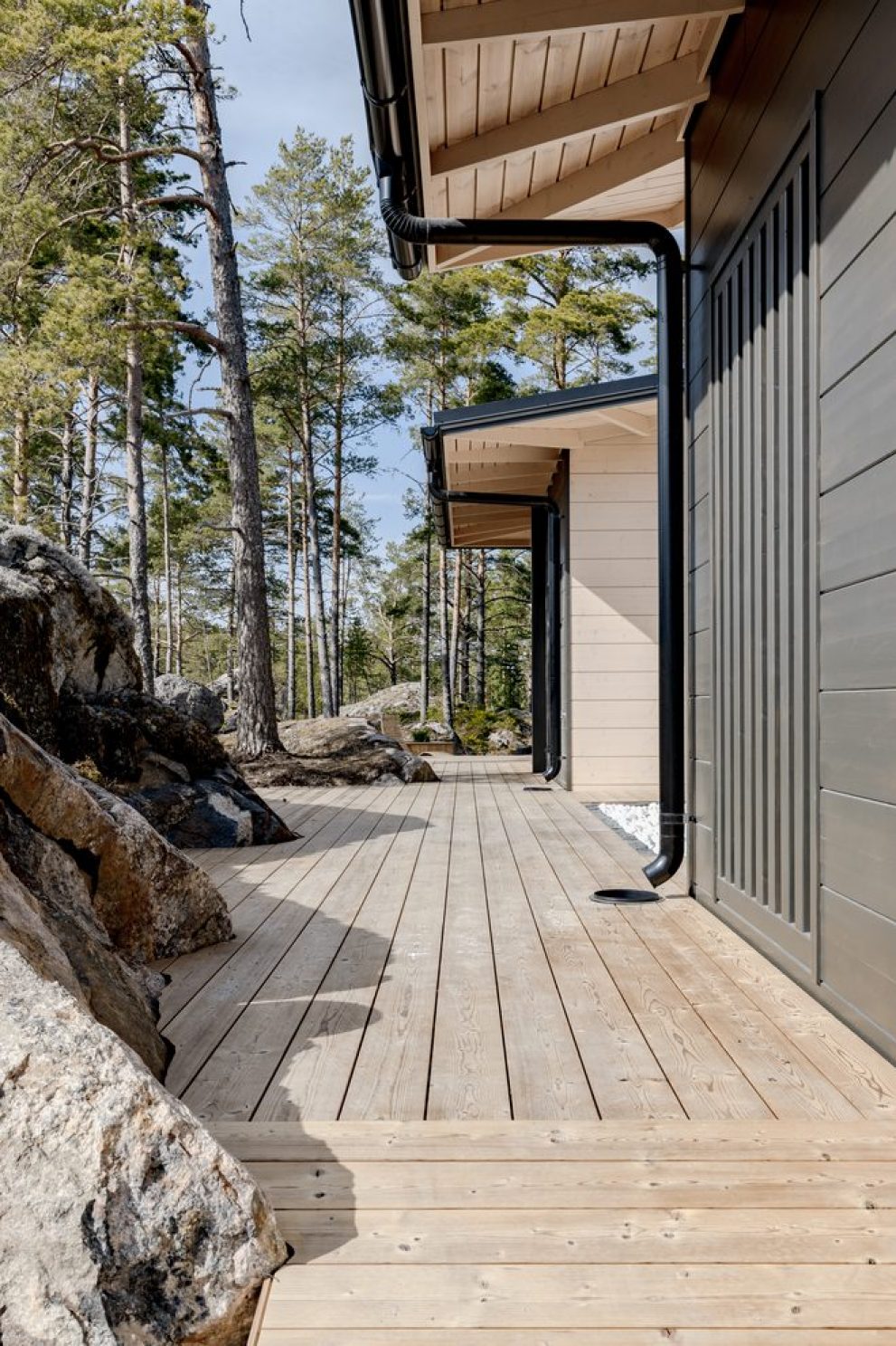 Honka Haiku – Tunne metsän voima - Honkarakenne